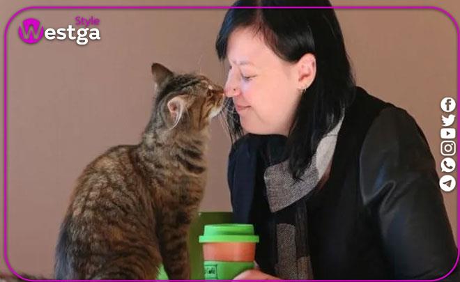 هه‌واڵێكی ناخۆش بۆ ئه‌و كه‌سانه‌ی‌ پشیله‌ به‌خێوده‌كه‌ن